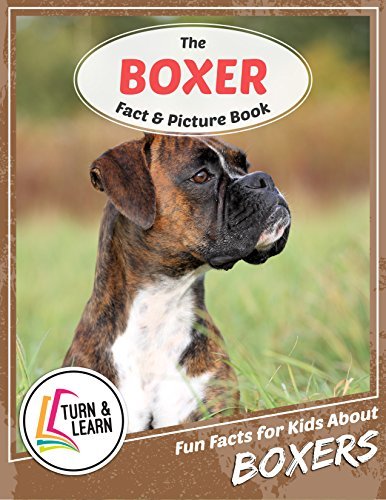The Boxer Fact and Picture Book: Fun Facts for Kids About Boxer by Gina ...