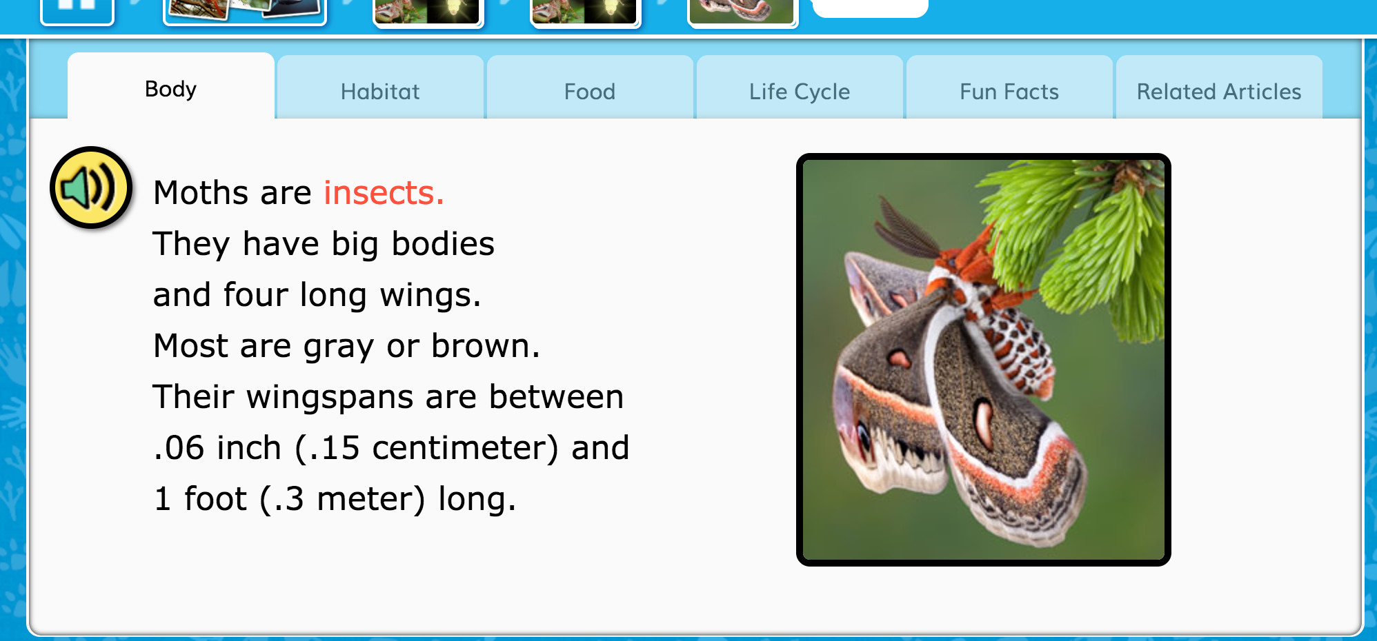 Moths Pebblego by Pebblego -Capstone | Goodreads