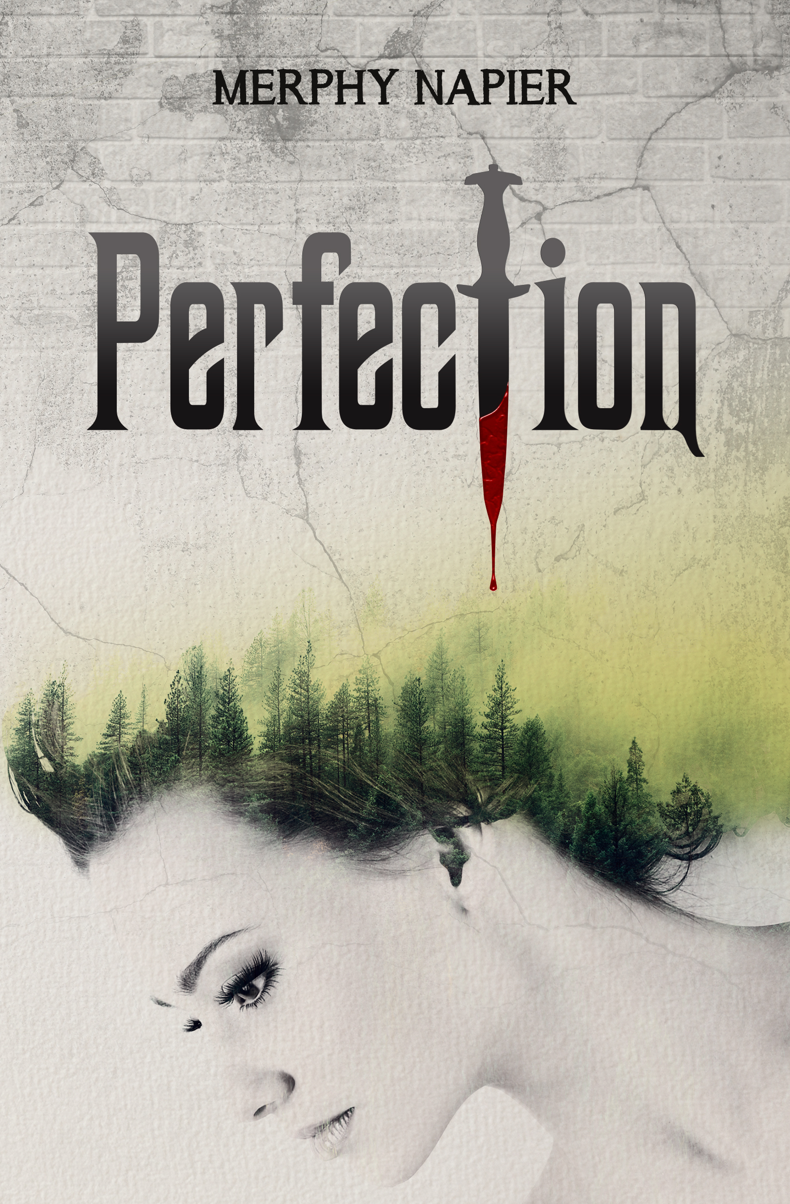 Perfection by Merphy Napier | Goodreads