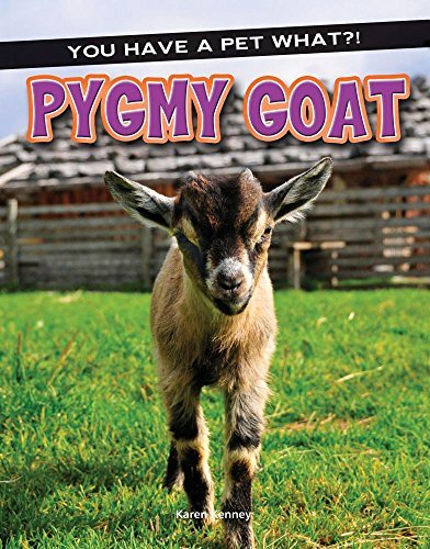 Pygmy Goat (You Have a Pet What?!) by Karen Latchana Kenney | Goodreads