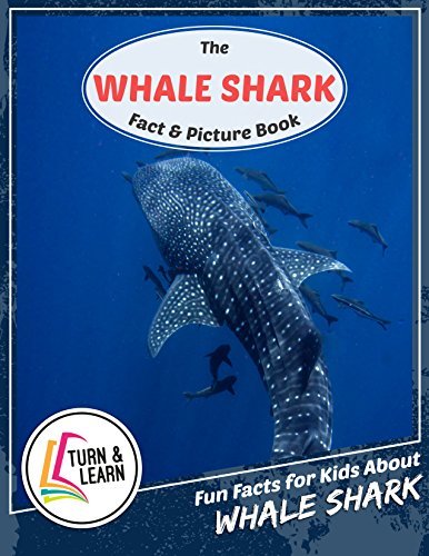 The Whale Shark Fact and Picture Book: Fun Facts for Kids About Whale Shark by Gina McIntyre ...