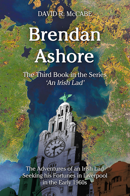Brendan Ashore by David R. McCabe | Goodreads