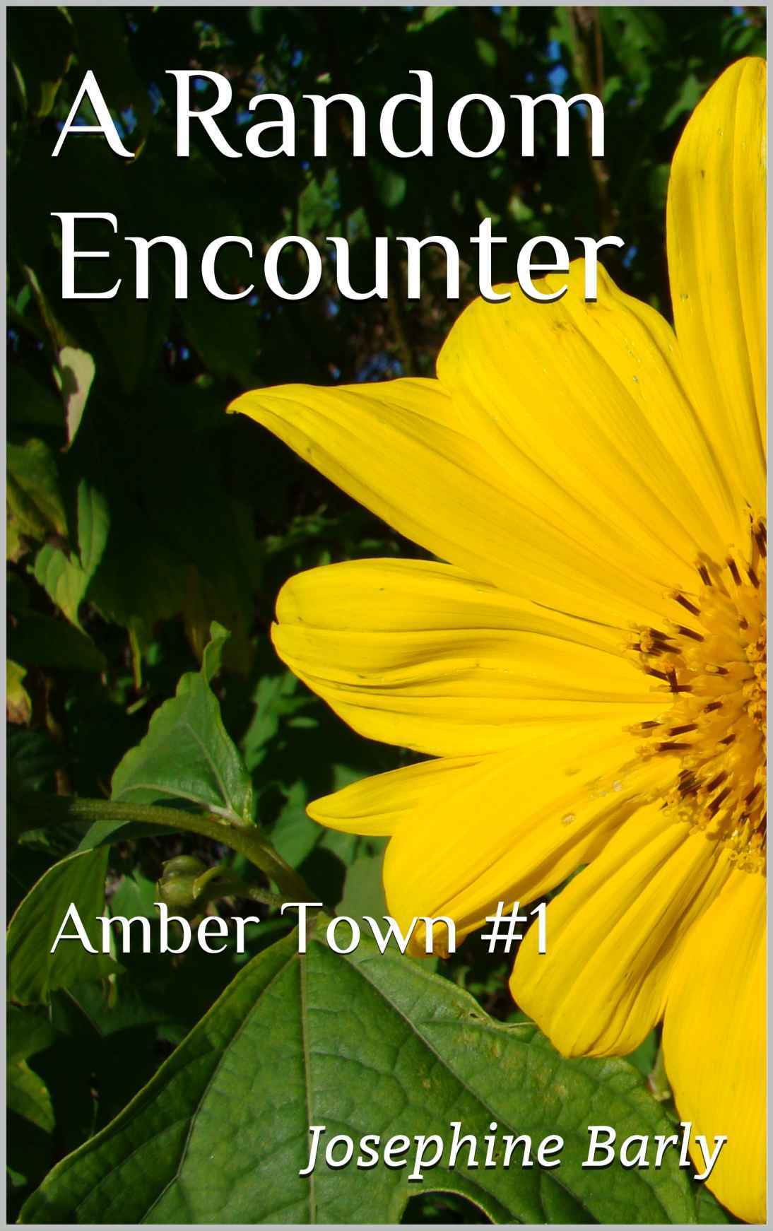 A Random Encounter (Amber Town, #1) by Josephine Barly | Goodreads