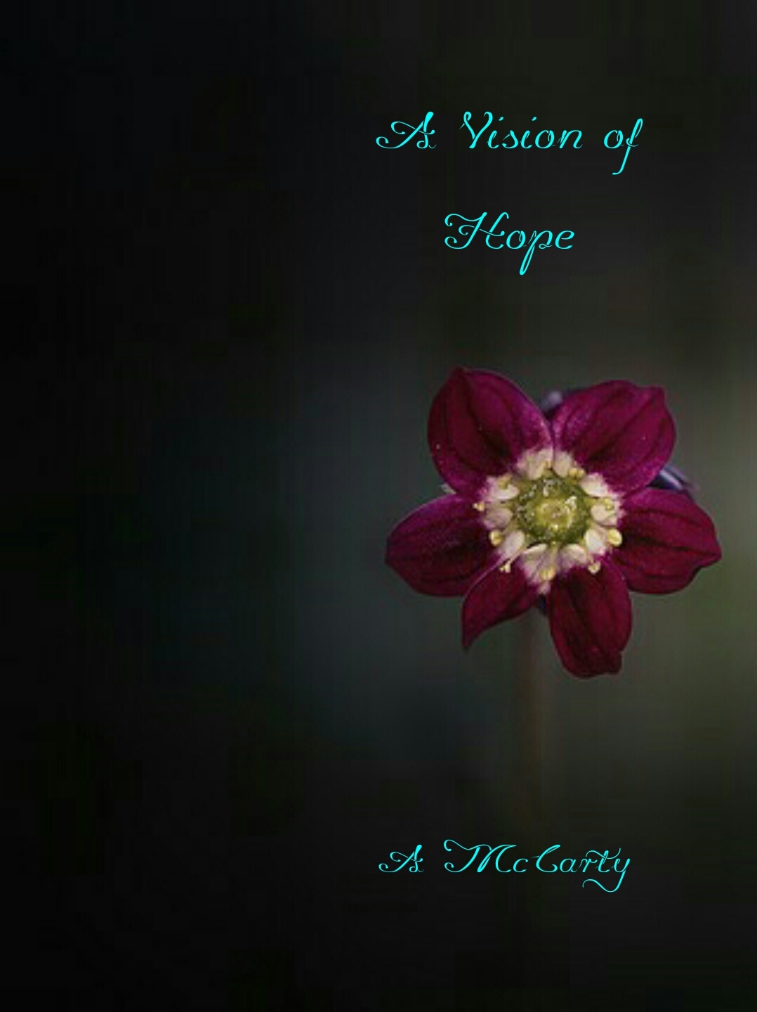 A Vision of Hope by A McCarty | Goodreads