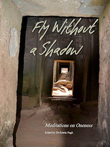 Fly Without A Shadow: Meditations on Oneness by Edwin Pugh | Goodreads