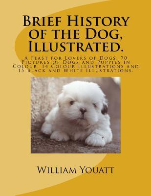 Brief History of the Dog, Illustrated.: A Feast for Lovers of Dogs. 70 ...