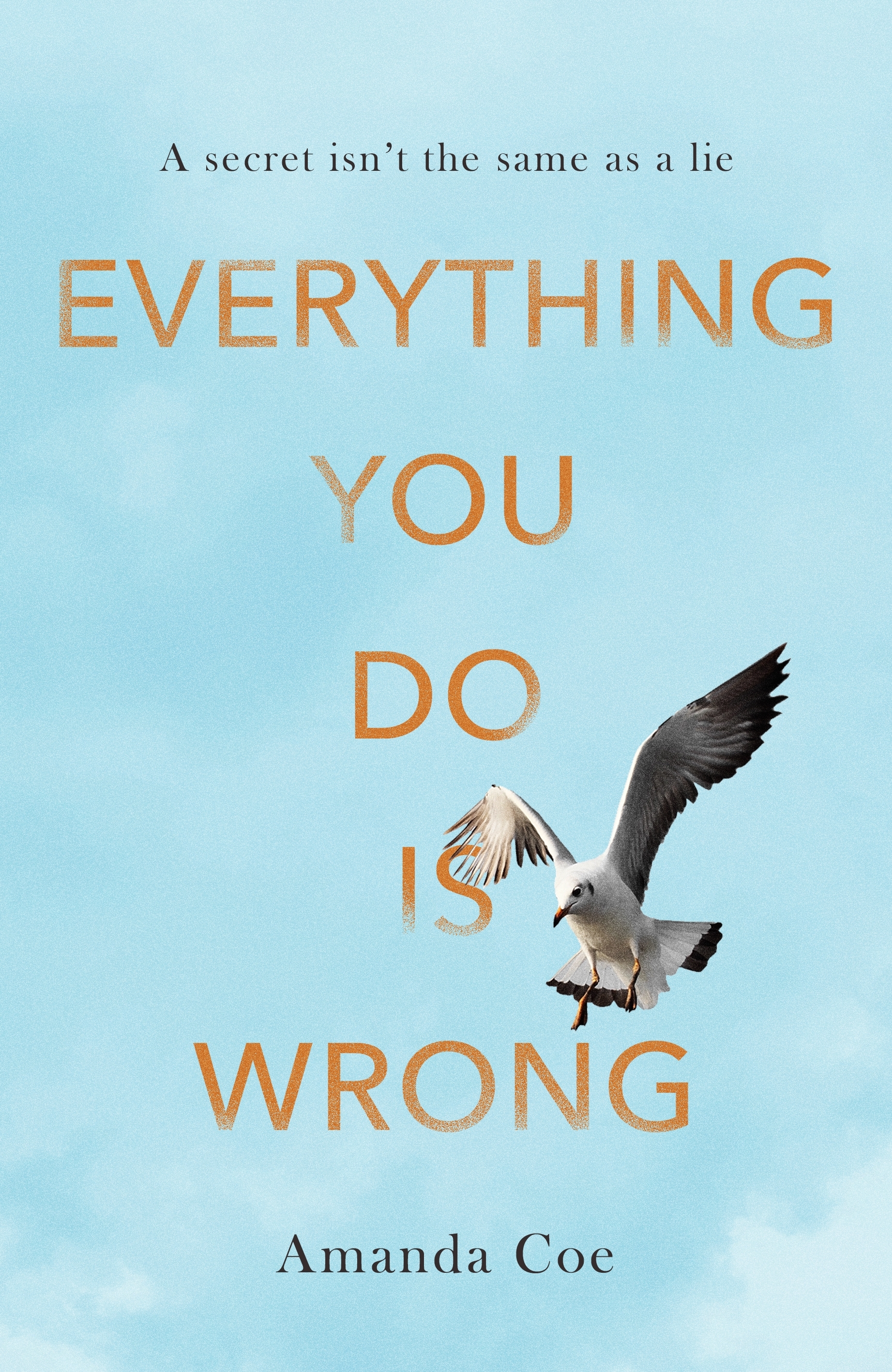 Everything You Do Is Wrong by Amanda Coe | Goodreads