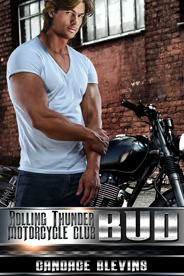 Bud (Rolling Thunder Motorcycle Club, #10) by Candace Blevins | Goodreads