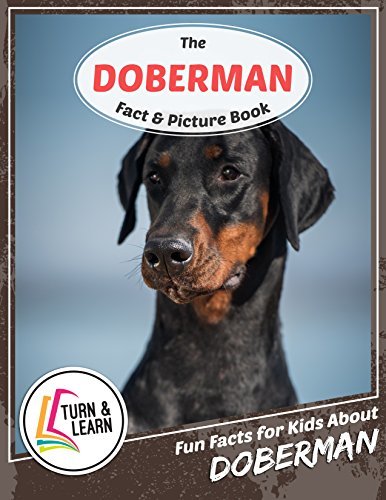 The Doberman Pinschers Fact and Picture Book: Fun Facts for Kids About ...