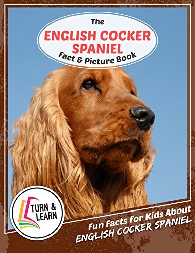 The English Cocker Spaniel Fact and Picture Book: Fun Facts for Kids ...