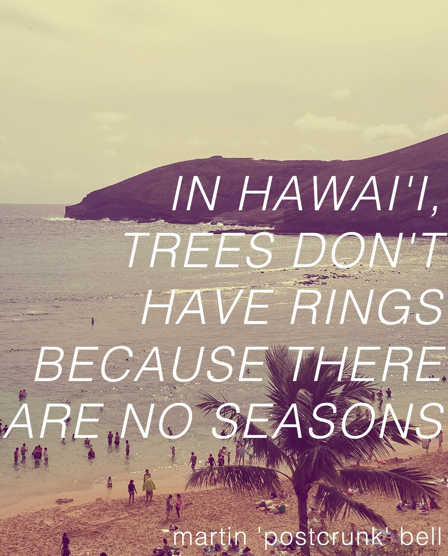 In Hawai'i, Trees Don't Have Rings Because There Are No Seasons by ...