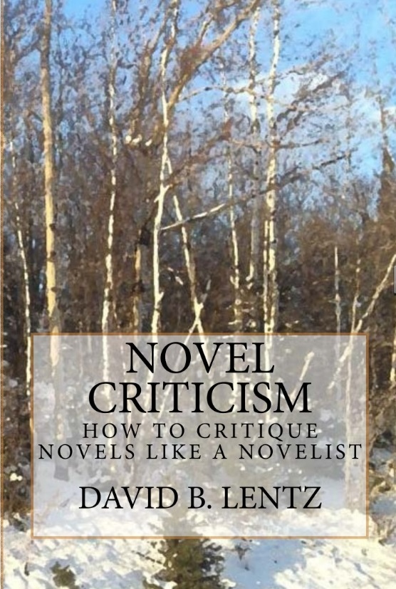 Novel Criticism: How to Critique Novels Like a Novelist by David B ...