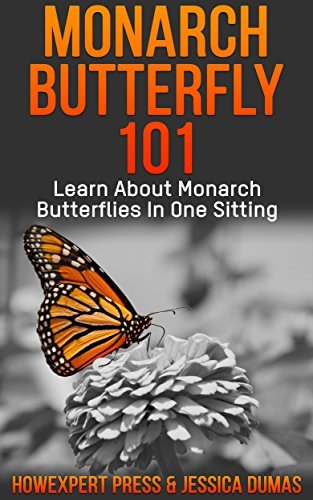 Monarch Butterfly 101: Learn About Monarch Butterflies In One Sitting ...