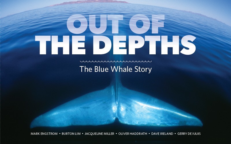 Out of the Depths: The Blue Whale Story by Mark Engstrom | Goodreads