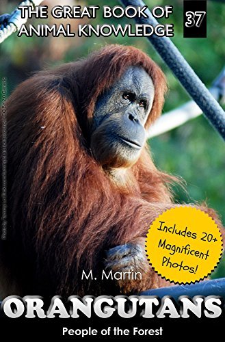 Orangutans: People of the Forest (The Great Book of Animal Knowledge by ...
