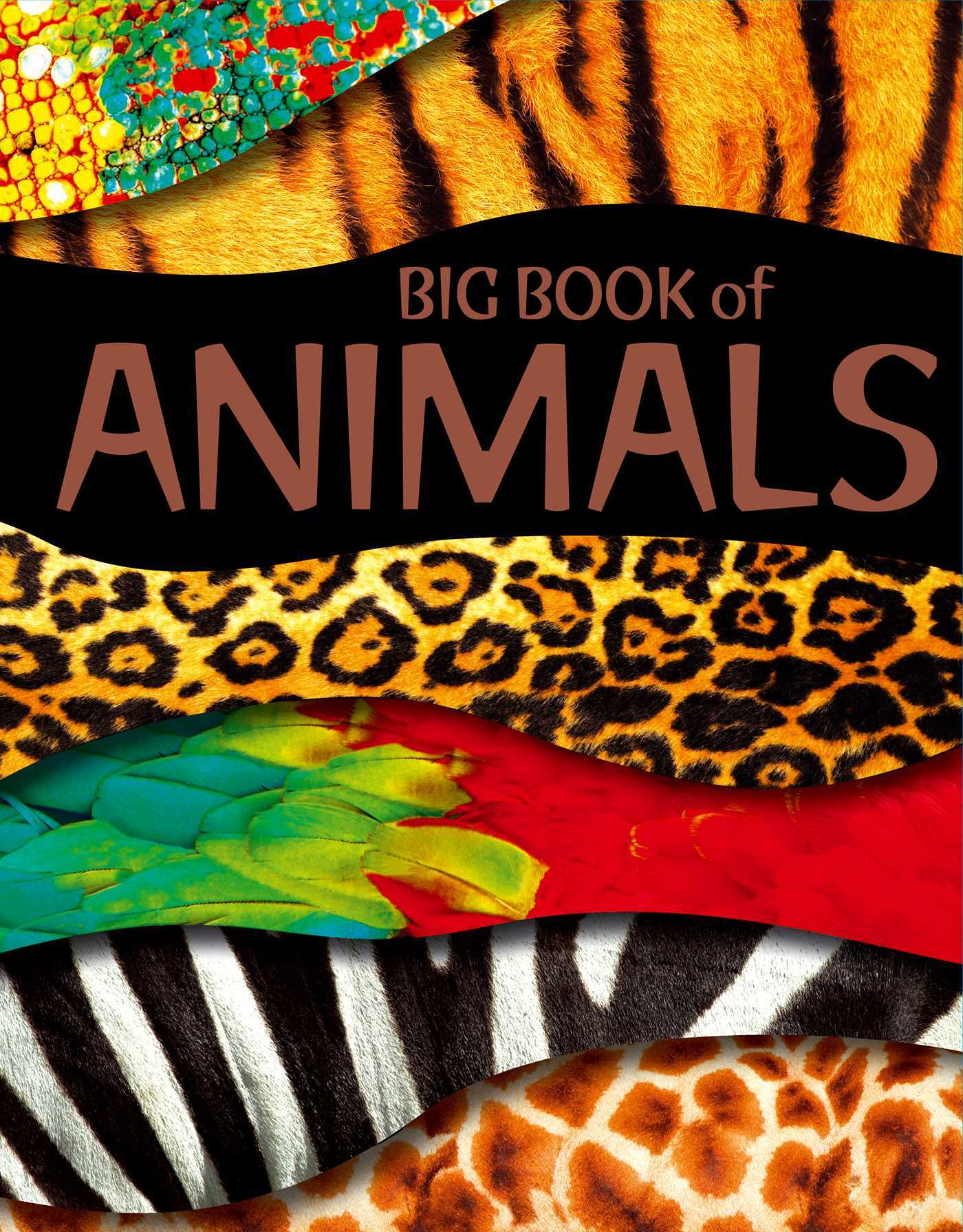 Big Book of Animals by Igloo Books | Goodreads