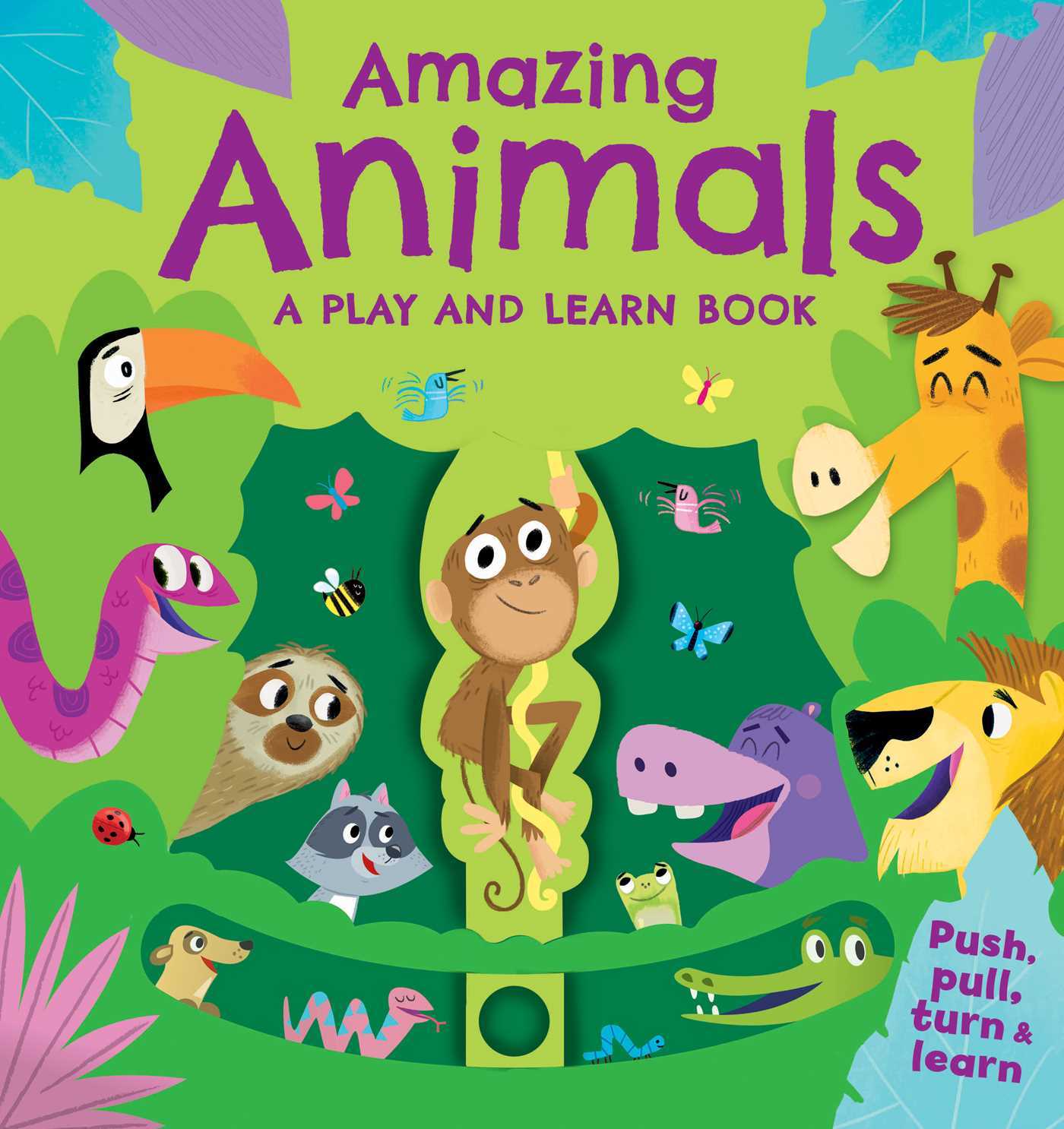 Amazing Animals: A Play and Learn Book: Push, pull, turn, & learn by ...
