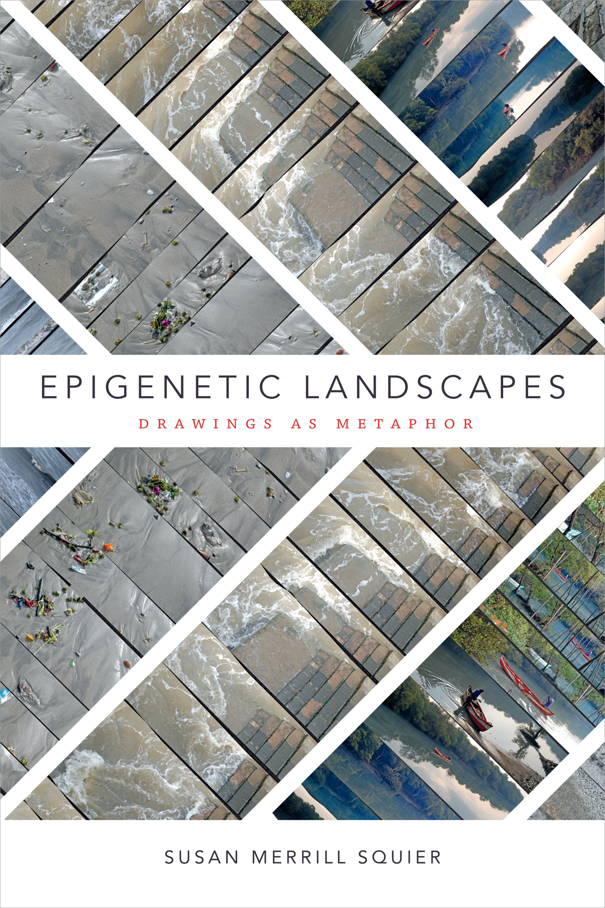 Epigenetic Landscapes: Drawings as Metaphor by Susan Merrill Squier ...