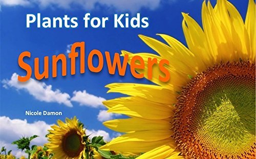 Plants for Kids: Sunflowers, Children's Book, Picture book for kids ...