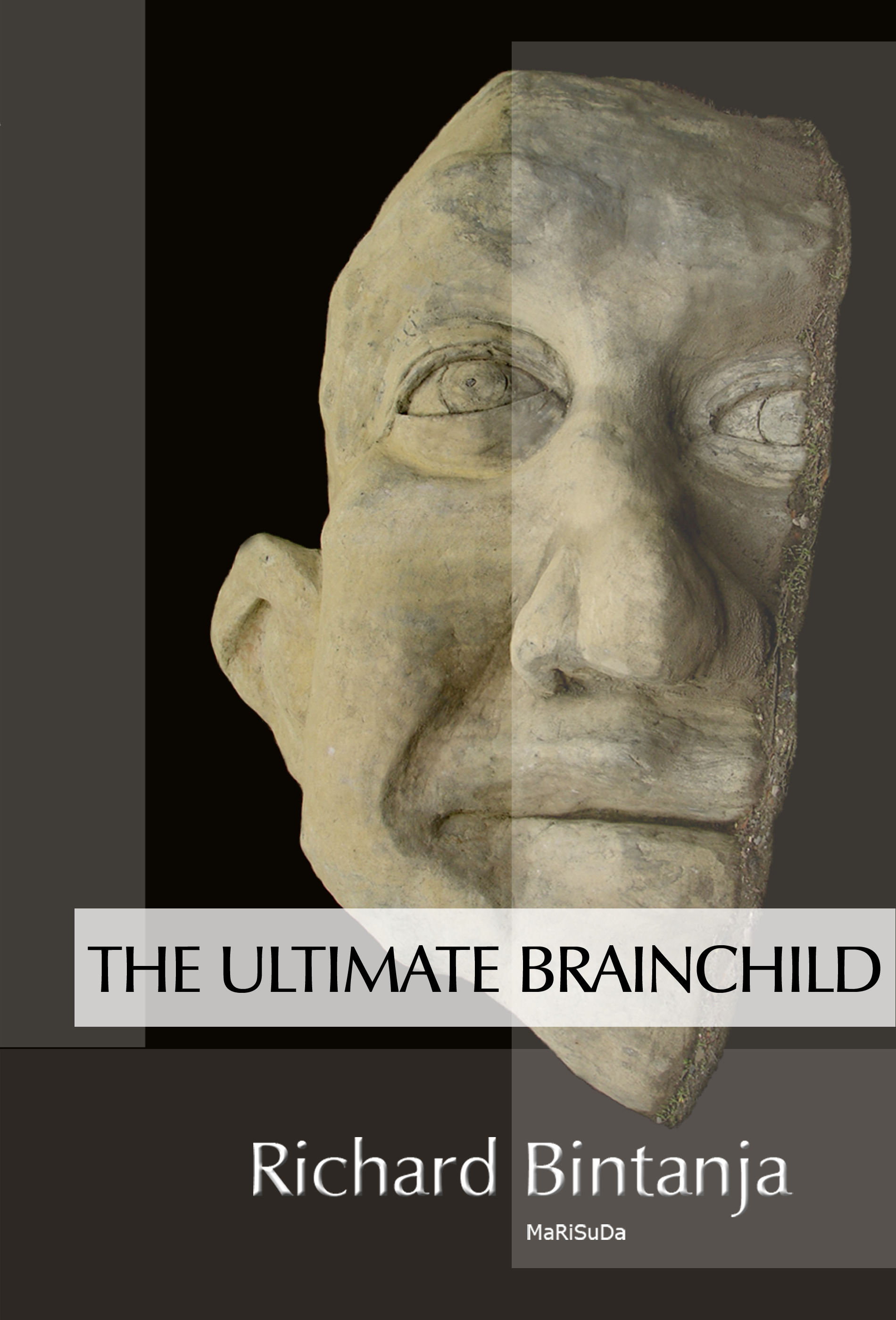 The Ultimate Brainchild by Angelina Souren | Goodreads