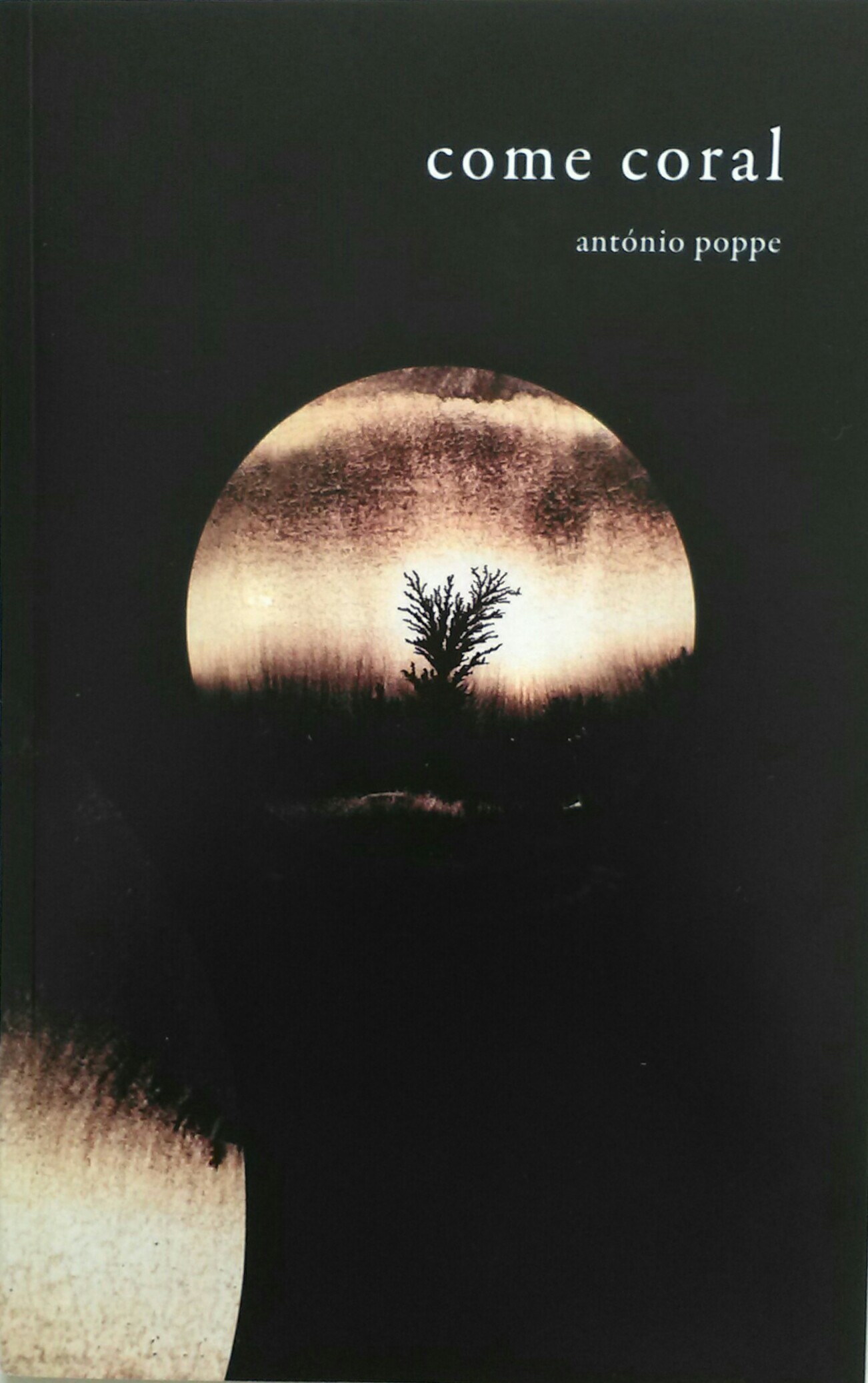 come coral by António Poppe | Goodreads