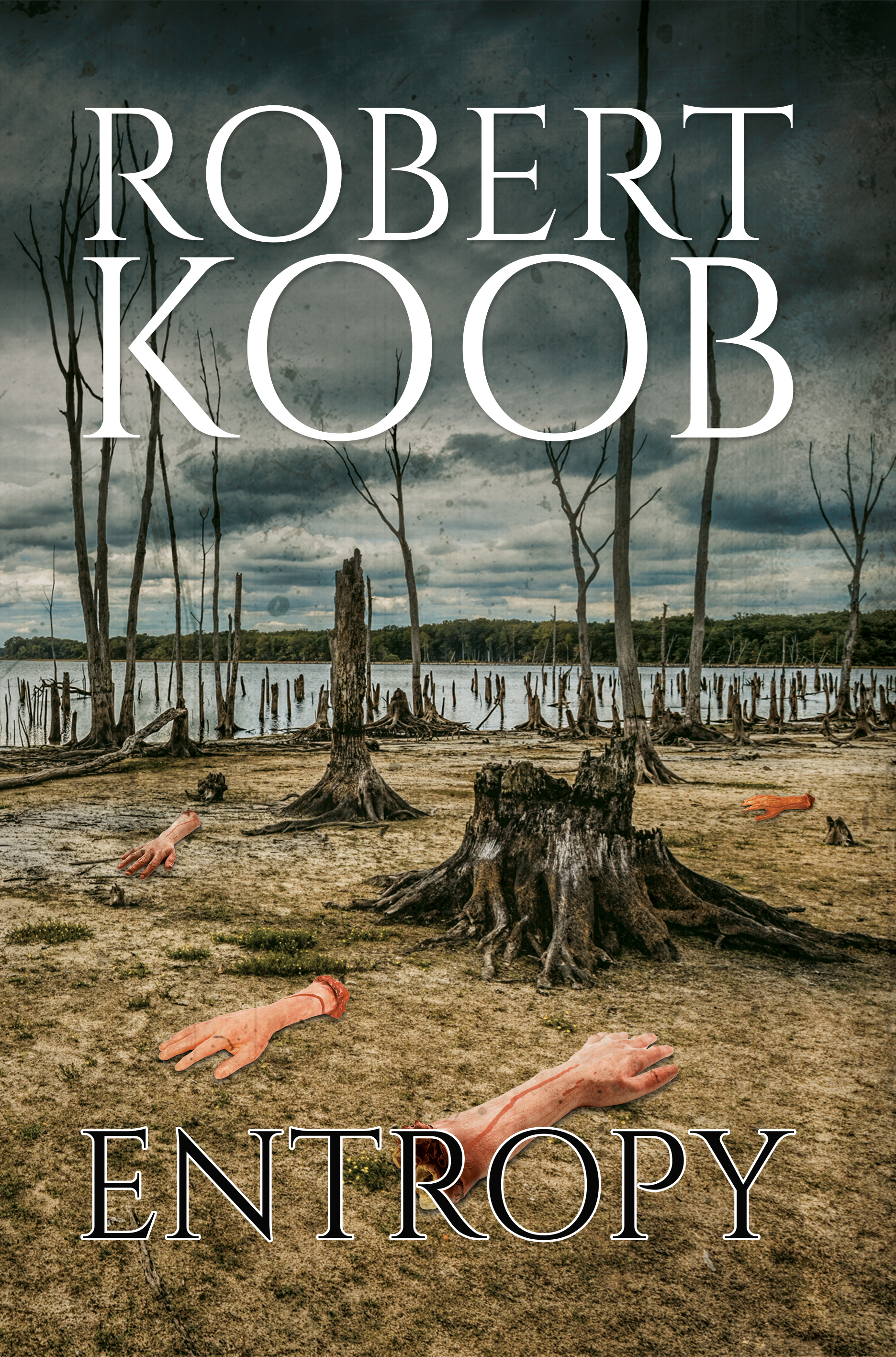 Entropy by Robert Koob | Goodreads
