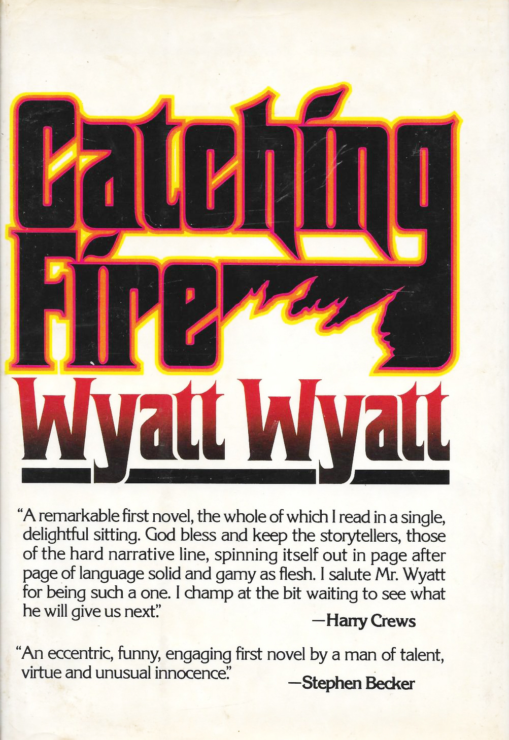 Catching Fire Book Quotes