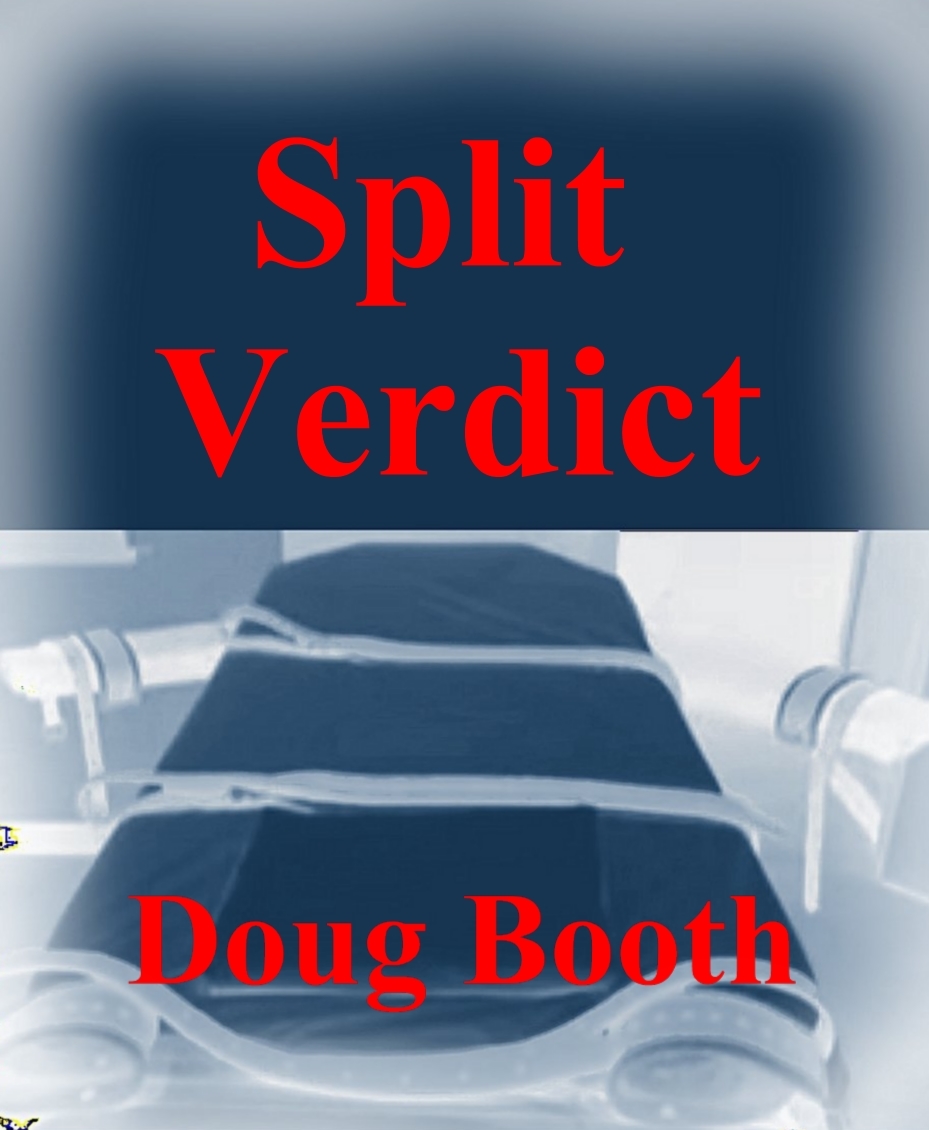 Split Verdict by Doug Booth | Goodreads