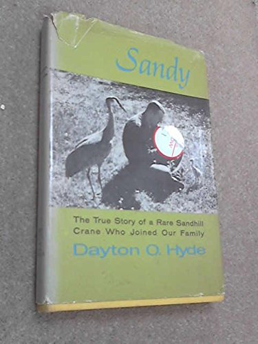 Sandy: The True Story of a Rare Sandhill Crane Who Joined Our Family ...