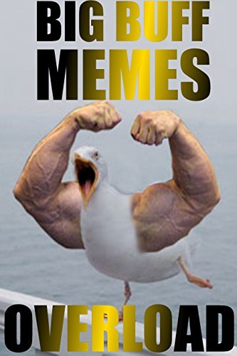 Memes: VERY BUFF MEMES LOL ROFL LMAO STFU GTFO LOL BRB FREE BEST XXXL ...