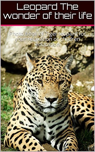 Leopard The wonder of their life: Photo book of Tiger leopard for your ...