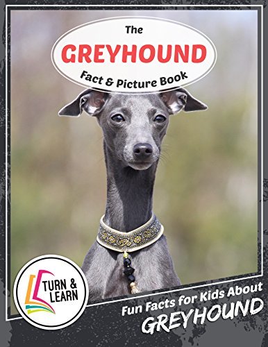 The Greyhound Fact and Picture Book: Fun Facts for Kids About Greyhound ...