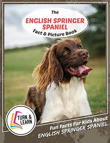 The English Springer Spaniel Fact and Picture Book: Fun Facts for Kids ...
