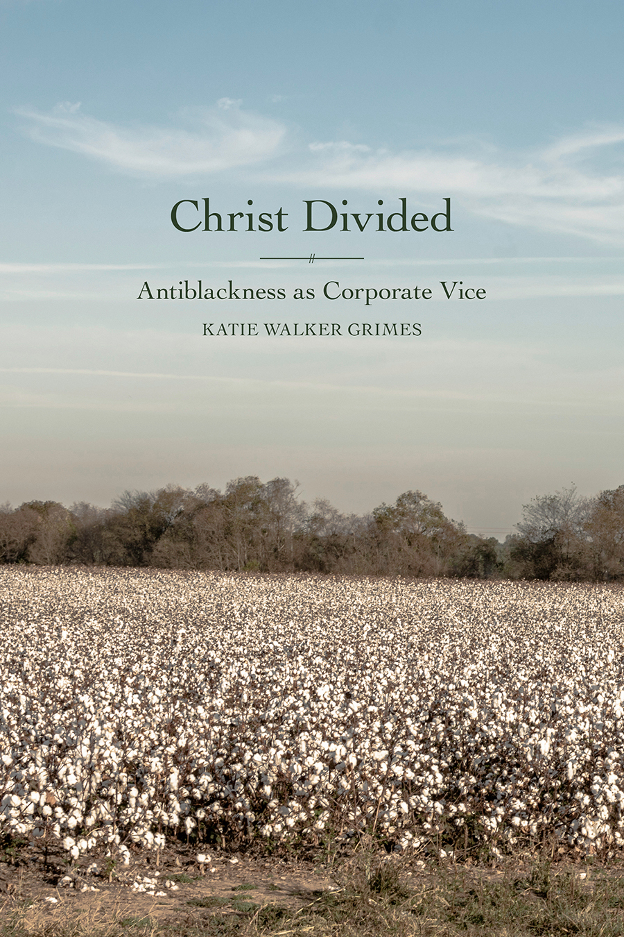 Christ Divided: Antiblackness as Corporate Vice by Katie Walker Grimes ...
