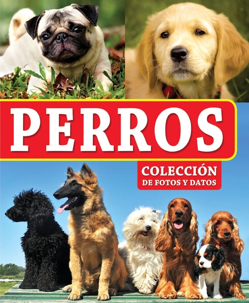 Perros (Colección de fotos y datos) (Spanish Edition) by Kidsbooks ...