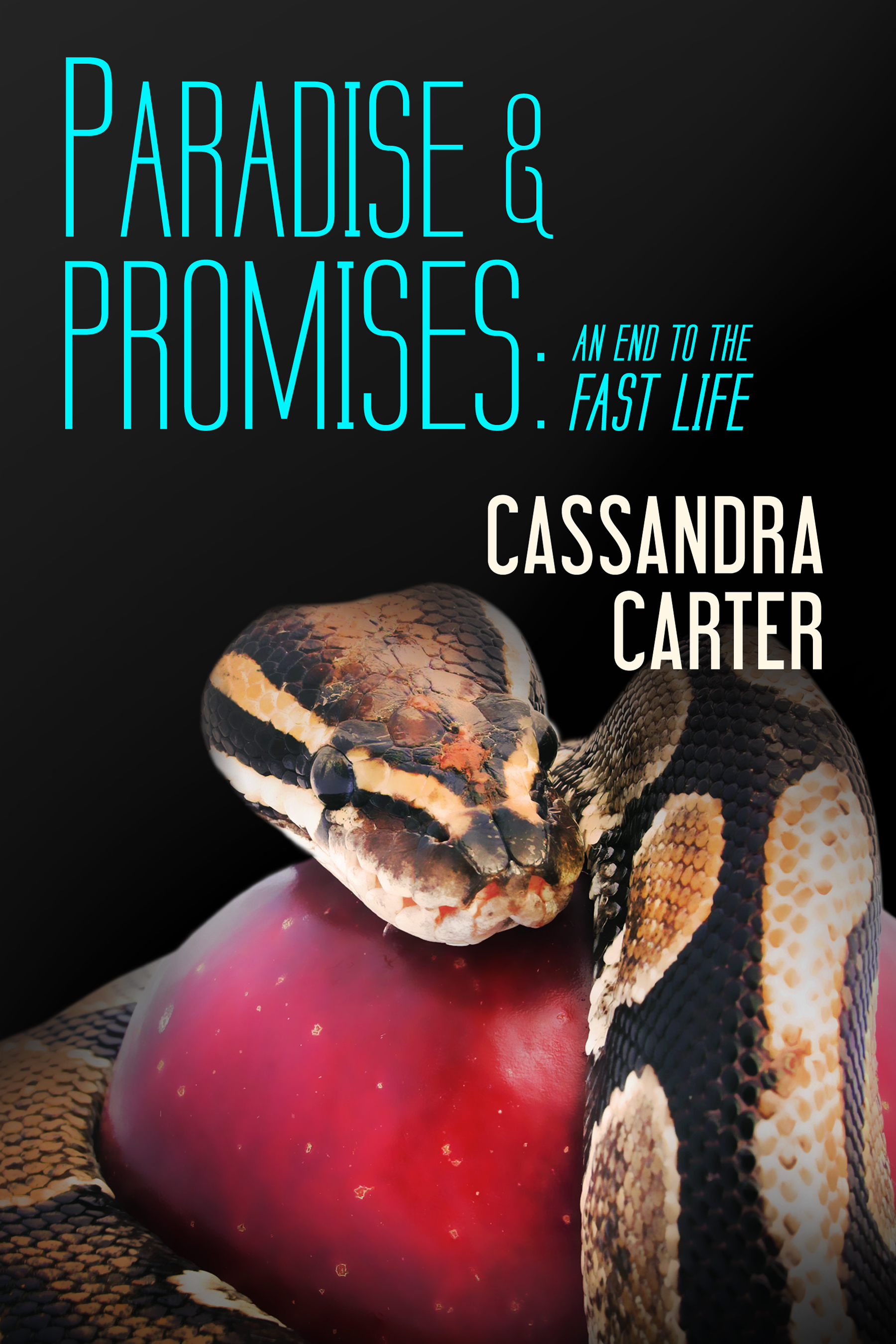 Paradise Promises: An End to the Fast Life by Cassandra Carter | Goodreads