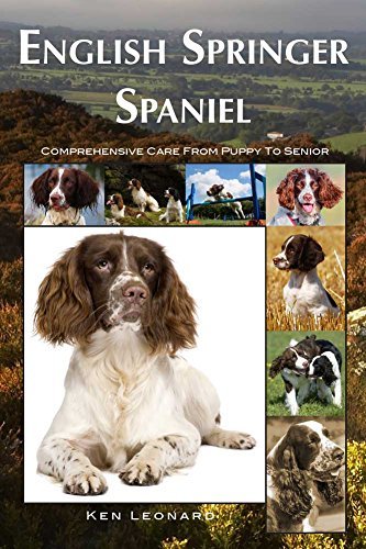 English Springer Spaniel: Comprehensive Care from Puppy to Senior; Care ...