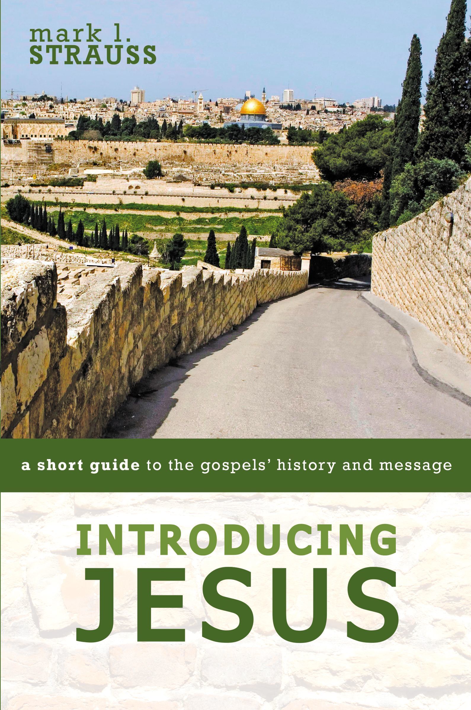 Introducing Jesus: A Short Guide to the Gospels' History and Message by ...