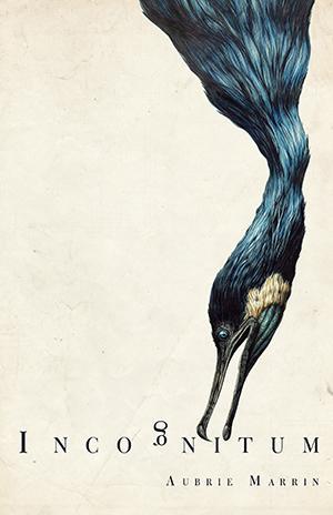 Incognitum by Aubrie Martin | Goodreads