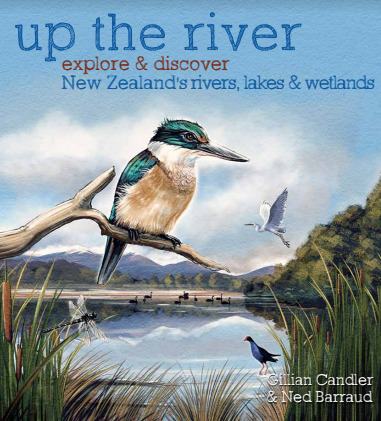 Up the River: explore and discover New Zealand's rivers, lakes and wetlands by Gillian Candler ...