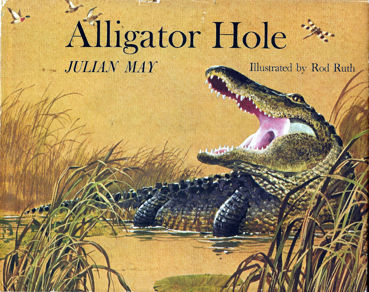 Alligator hole by Julian May | Goodreads