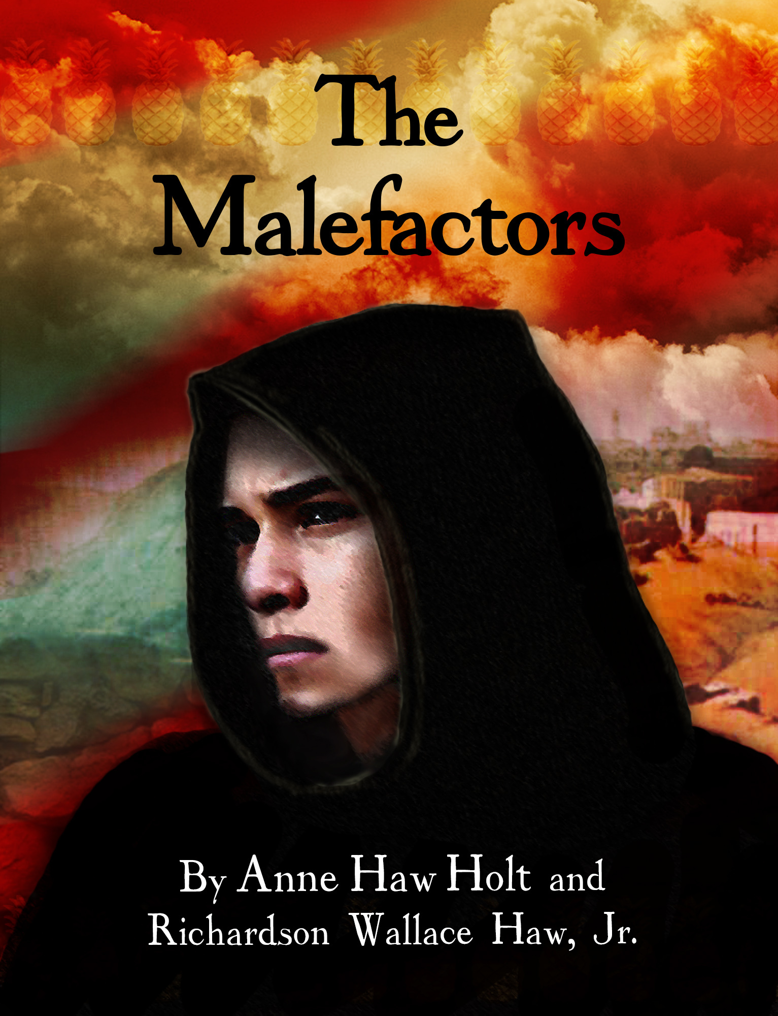 The Malefactors by Anne Haw Holt | Goodreads