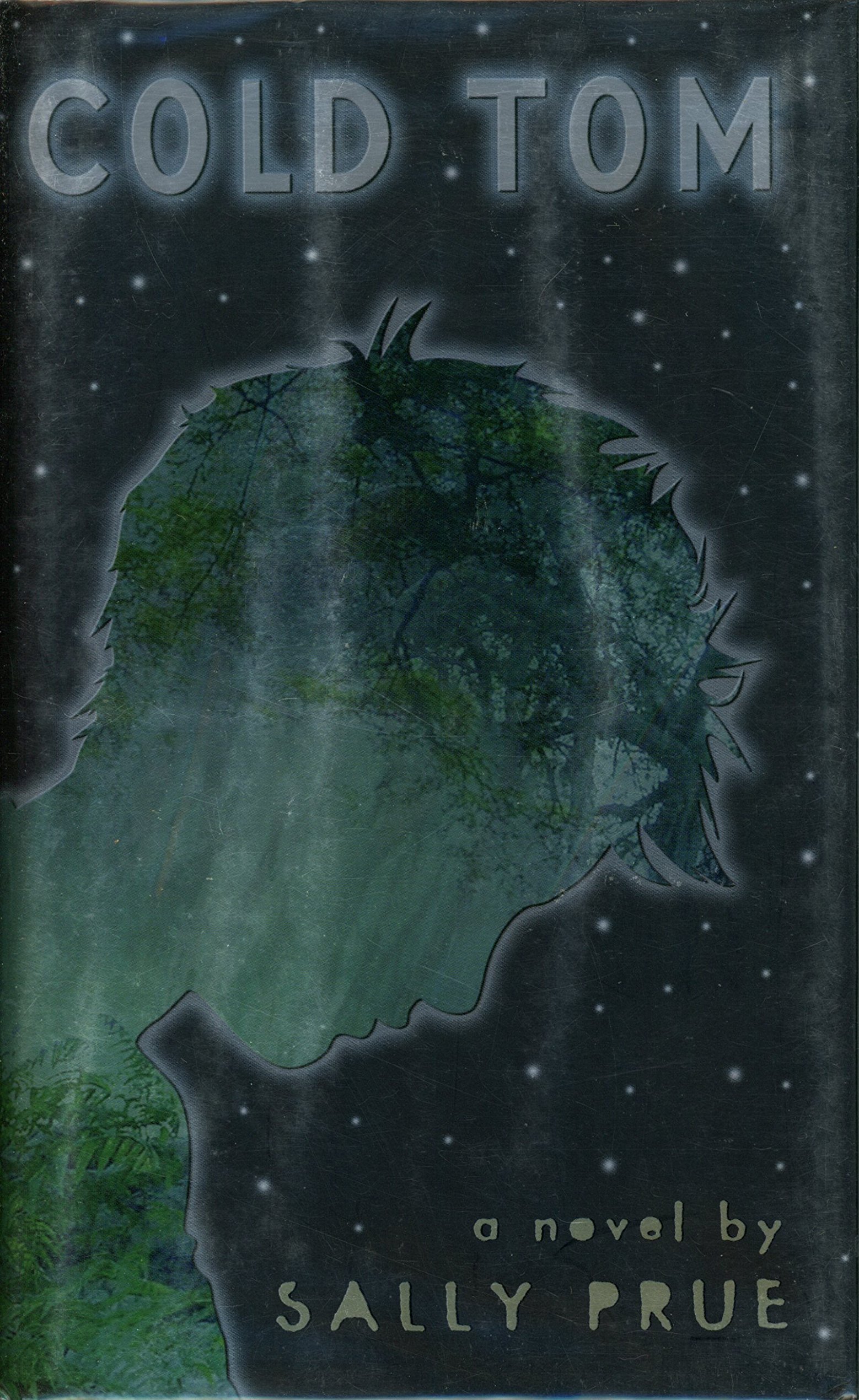 Cold Tom by Sally Prue | Goodreads