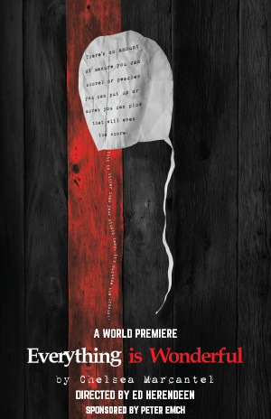 Everything is Wonderful by Chelsea Marcantel | Goodreads