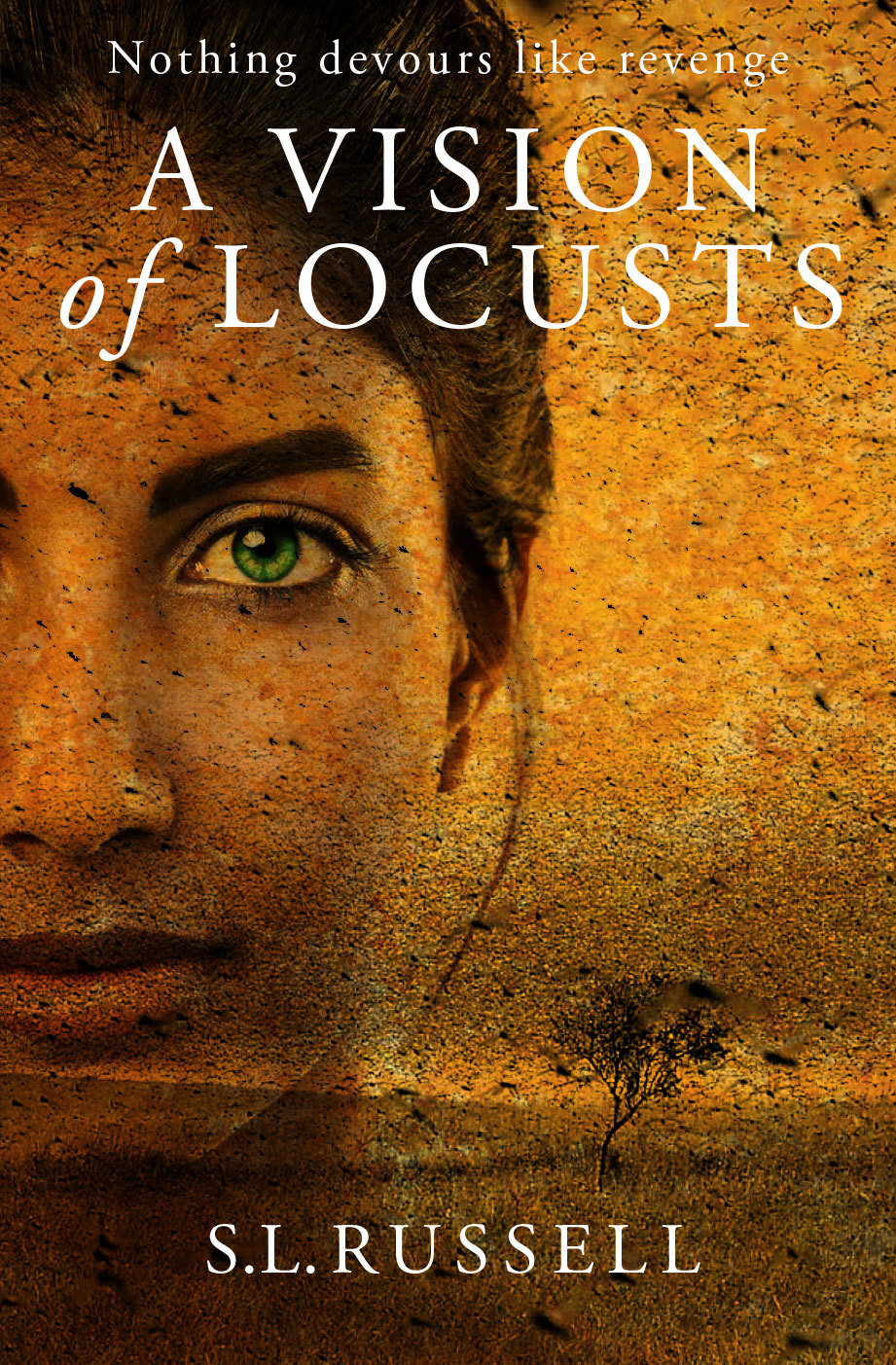 A Vision of Locusts by S.L. Russell | Goodreads