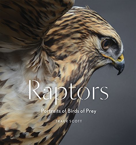 Raptors: Portraits of Birds of Prey by Traer Scott | Goodreads