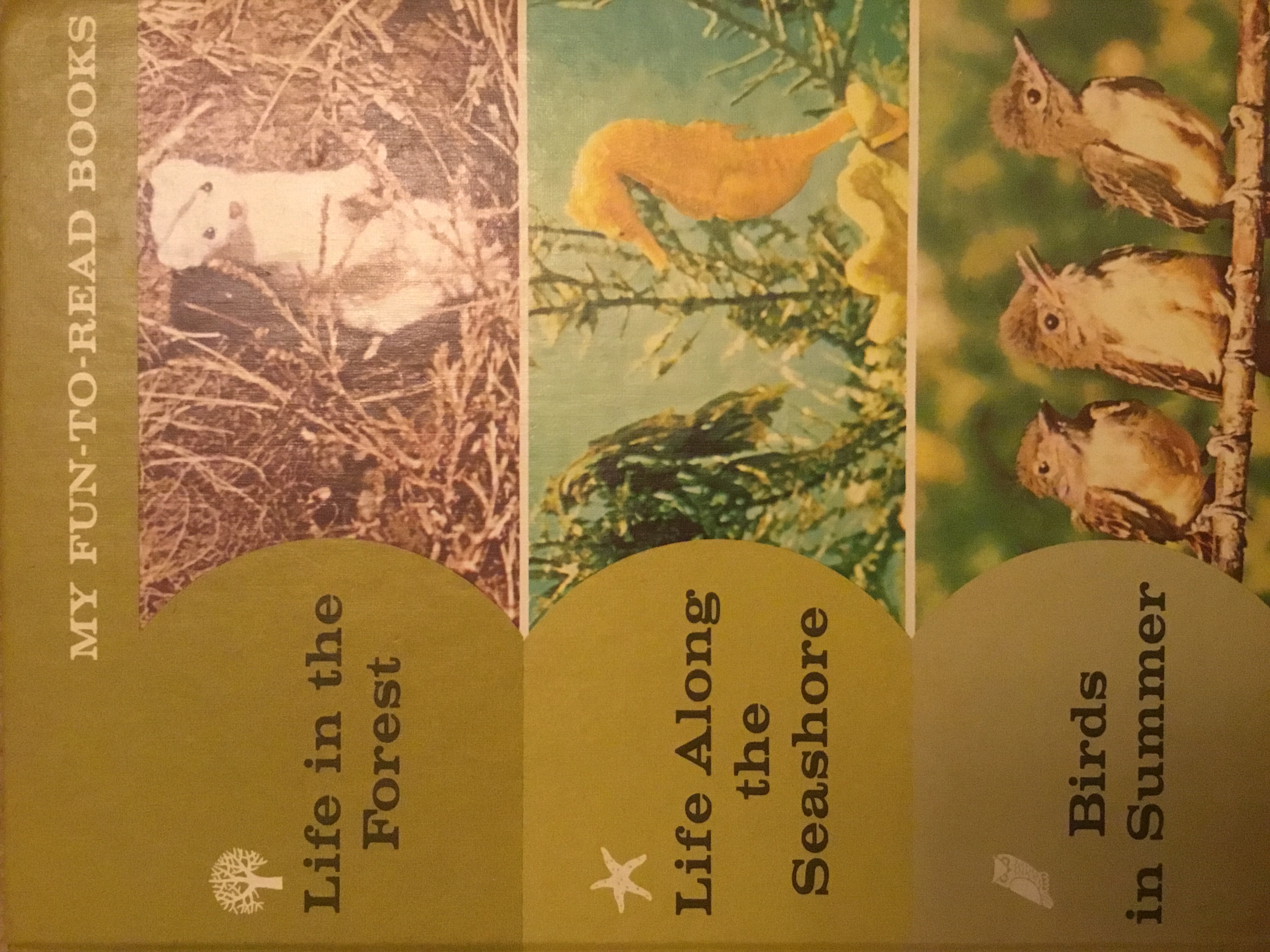 Life in the Forest / Life Along the Seashore / Birds in Summer by James ...