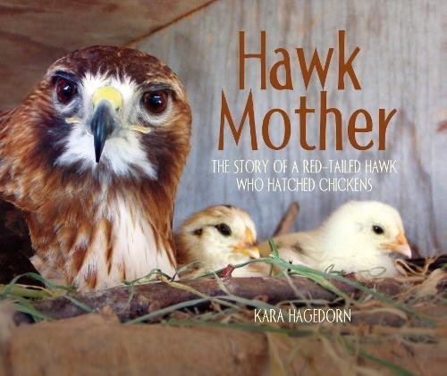 Hawk Mother: The Story of a Red-tailed Hawk Who Hatched Chickens by ...