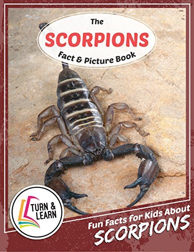 The Scorpions Fact and Picture Book: Fun Facts for Kids About Scorpions ...