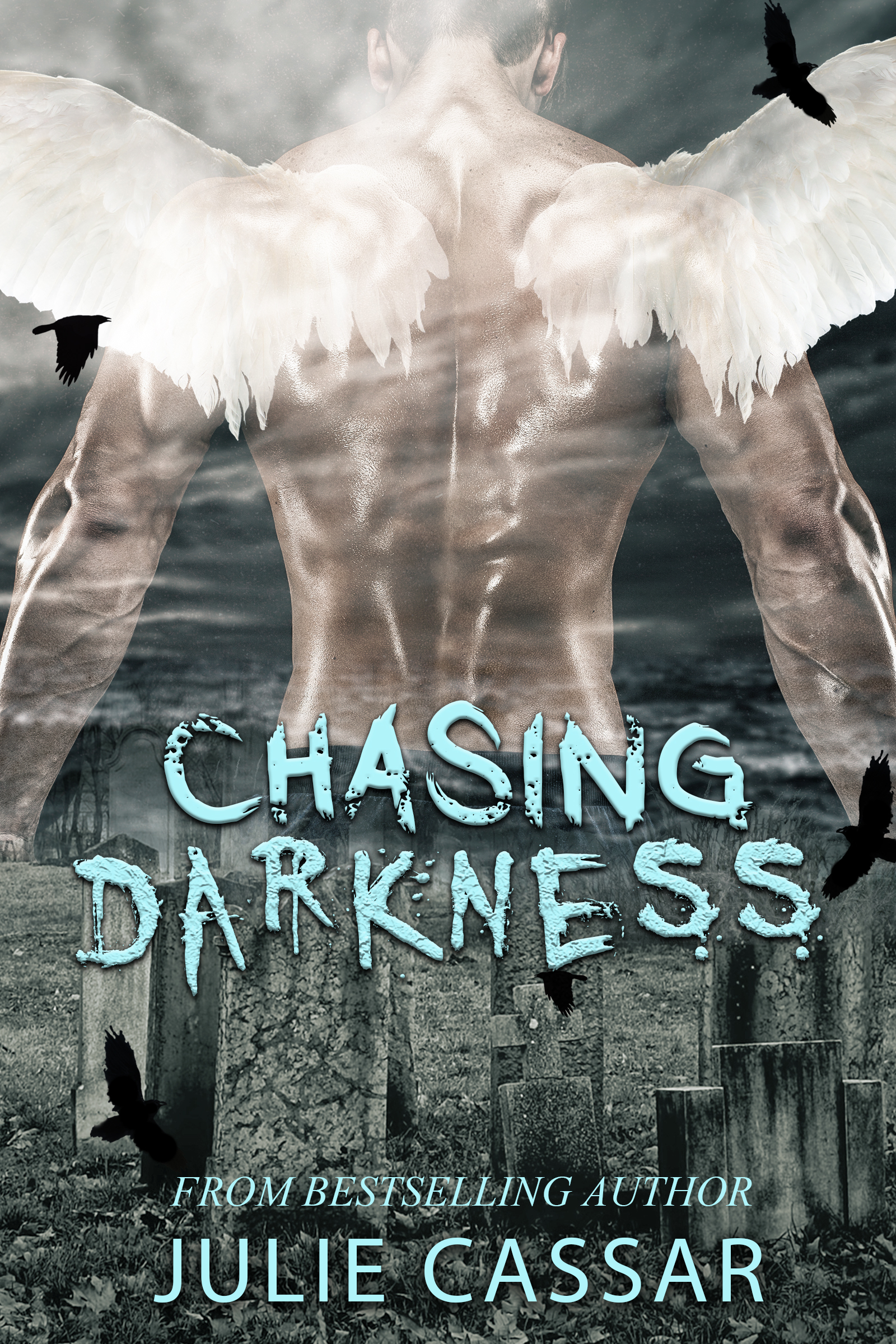 Chasing Darkness by Julie Cassar | Goodreads